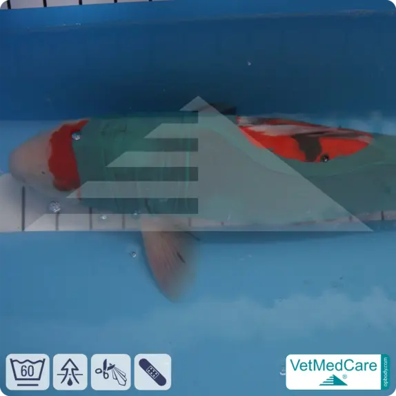 Safety Tubes DIY | Protective bodysuit for small animals