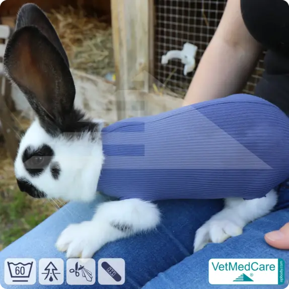 Safety Tubes DIY | Protective bodysuit for small animals